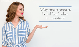 Why does a popcorn kernel “pop” when it is roasted? - Here Be Answers
