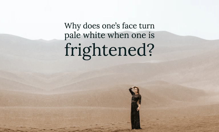 Why does one’s face turn pale white when one is frightened? - Here Be ...