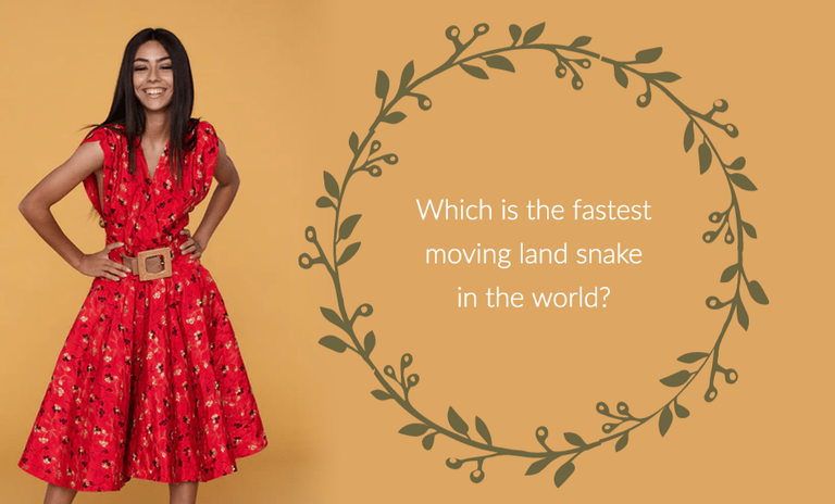 Which is the fastest moving land snake in the world? - Here Be Answers
