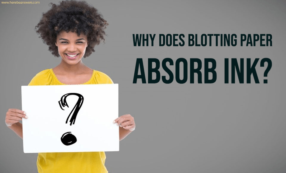 Why does blotting paper absorb ink? - Here Be Answers