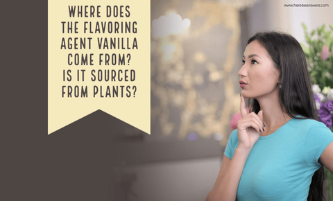 Where does the flavoring agent vanilla come from? Is it sourced from ...