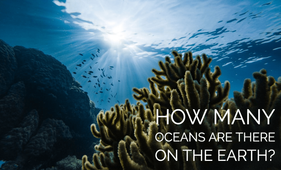 How many oceans are there on the Earth? - Here Be Answers