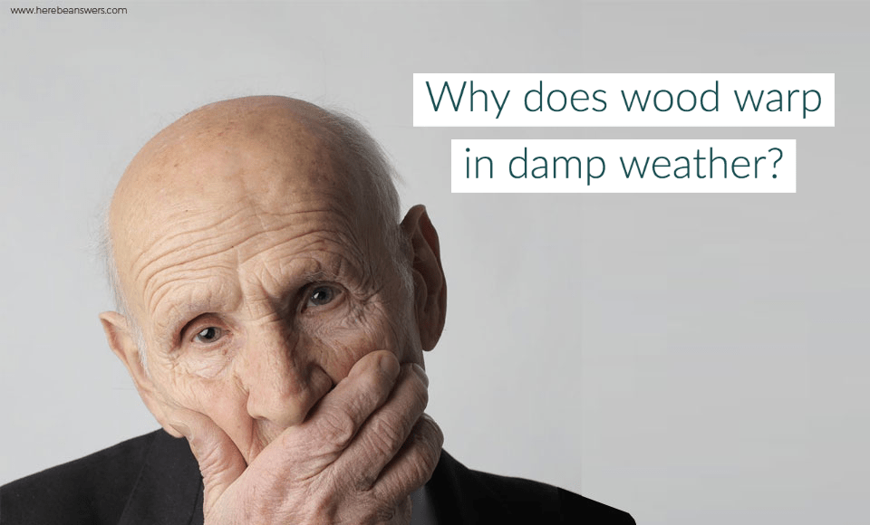 Why does wood warp in damp weather? - Here Be Answers