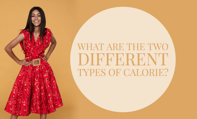 What are the two different types of calories? - Here Be Answers