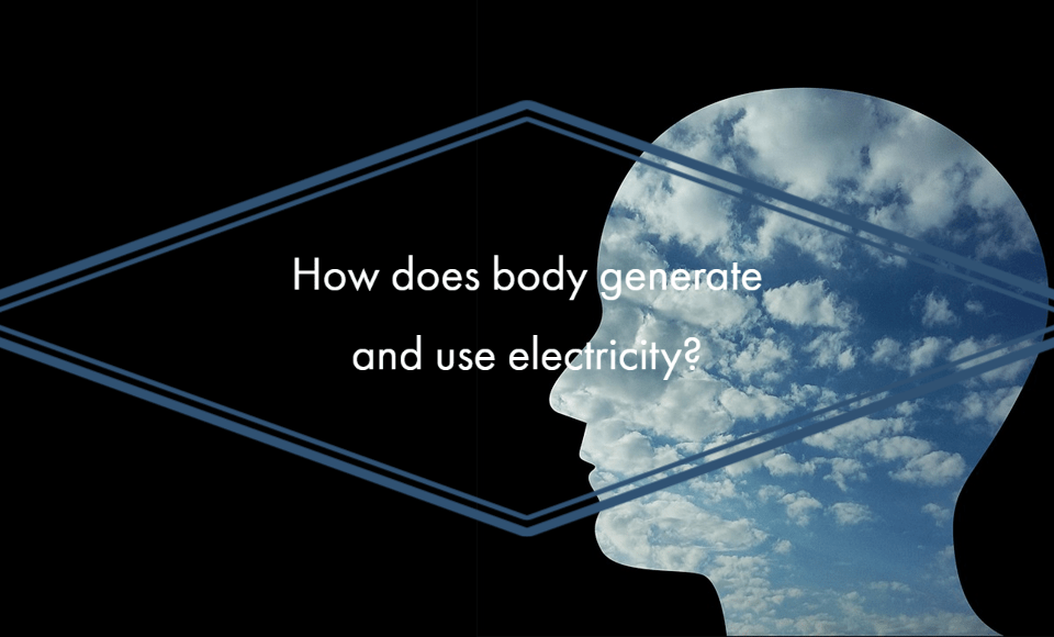 How does body generate and use electricity? - Here Be Answers