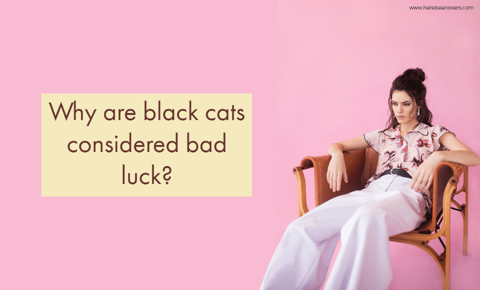 Why are black cats considered bad luck? - Here Be Answers