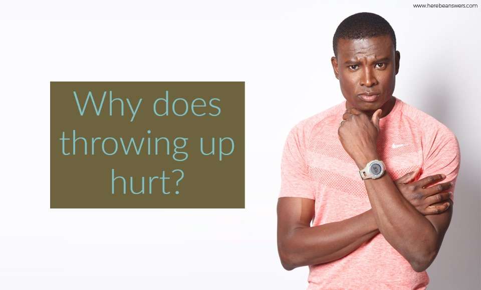 Why does throwing up hurt? - Here Be Answers