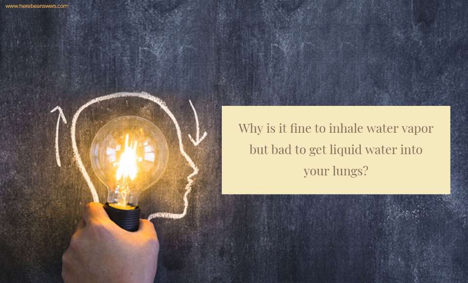 Why is it fine to inhale water vapor but bad to get liquid water into ...