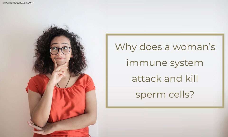 Why does a woman’s immune system attack and kill sperm cells? - Here Be ...