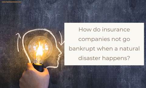 How do insurance companies not go bankrupt when a natural disaster ...