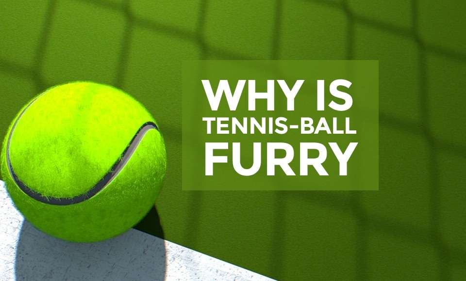 Why is tennis-ball furry? - Here Be Answers